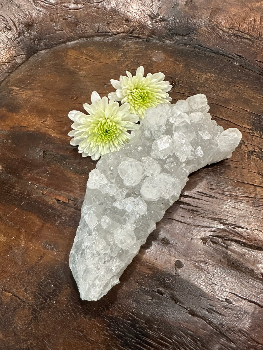Clear Apophyllite Specimen - 432 grams – Tropica Exotica, LLC