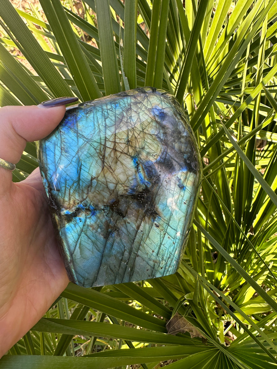 Labradorite Freeform 2.1 lbs Specimen – Tropica Exotica, LLC