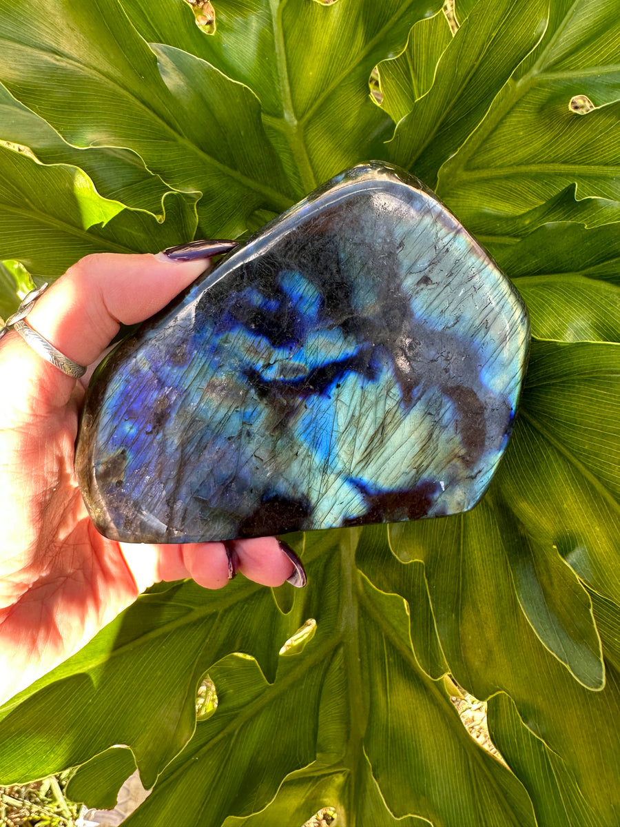 Labradorite Freeform 1.6 lbs Specimen – Tropica Exotica, LLC