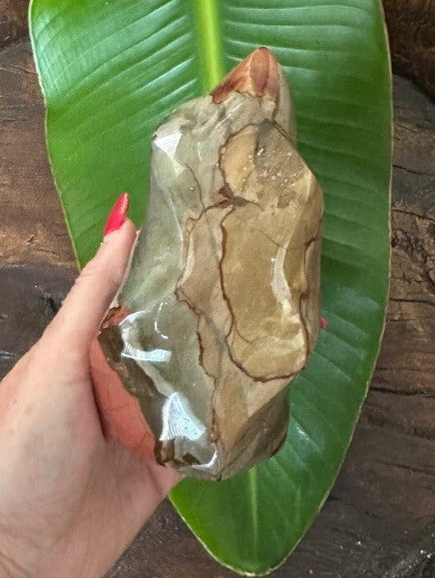 Polychrome Jasper Flame 1.8 lbs / 821 grams – Tropica Exotica, LLC