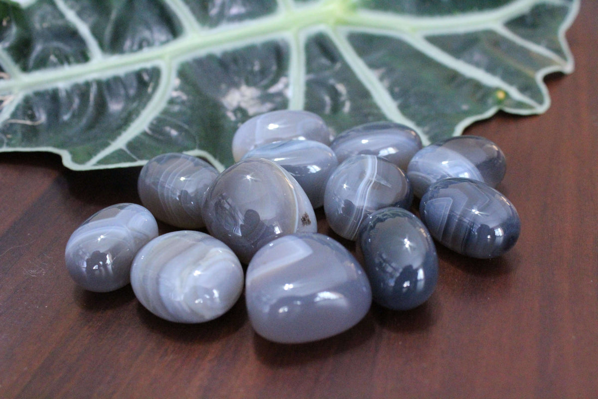 Agate - Banded Crystal Tumble – Tropica Exotica, LLC